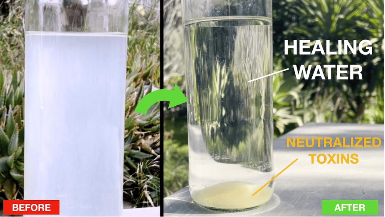 Adya Clarity | Water Liberty